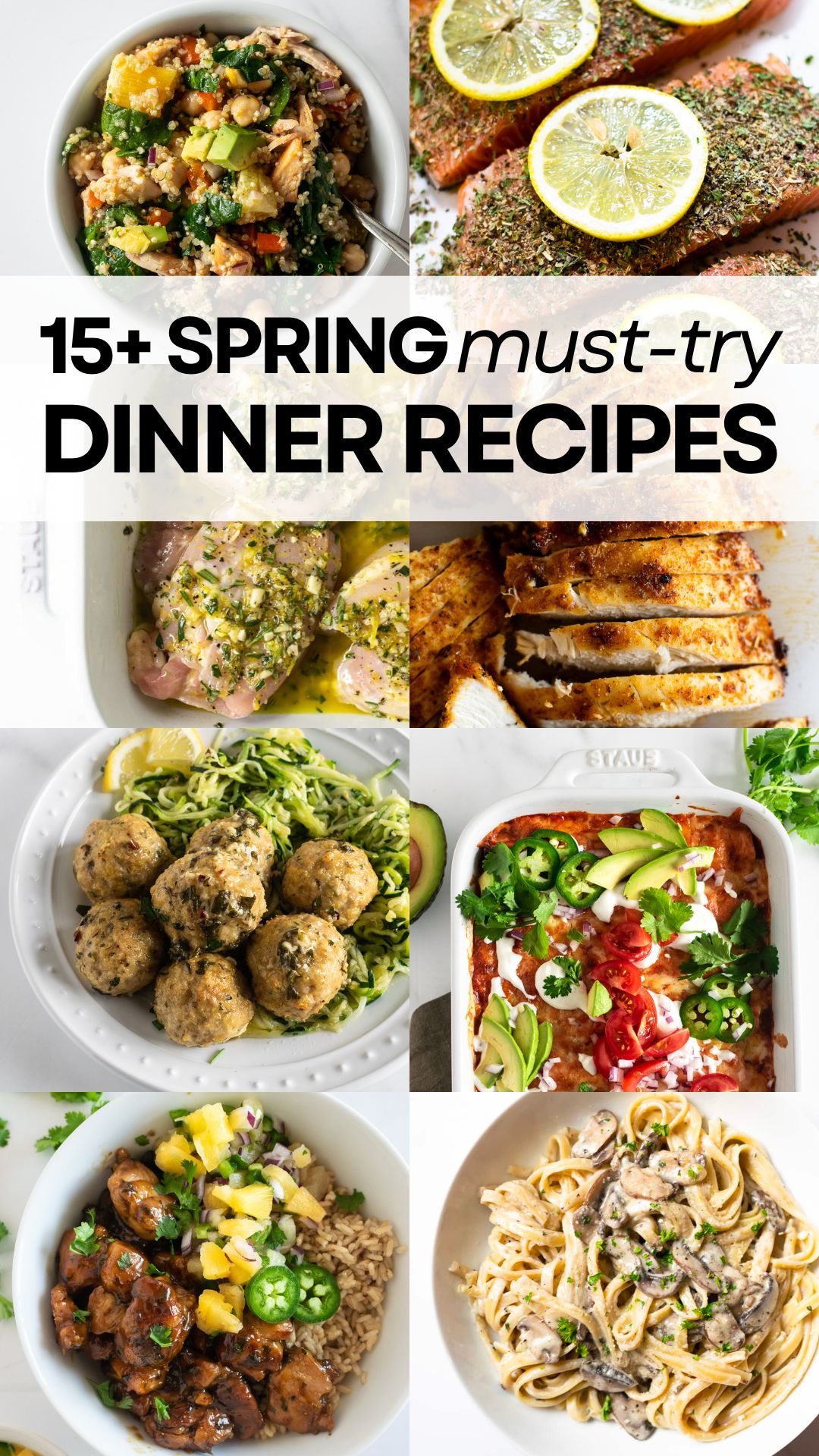 15+ Spring Dinner Recipes - Simple Everyday Recipes